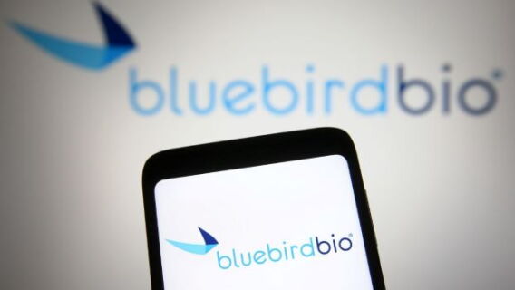 Bluebird, Facing Cash Crunch, To Go Private In Deal Valued at $30M ...
