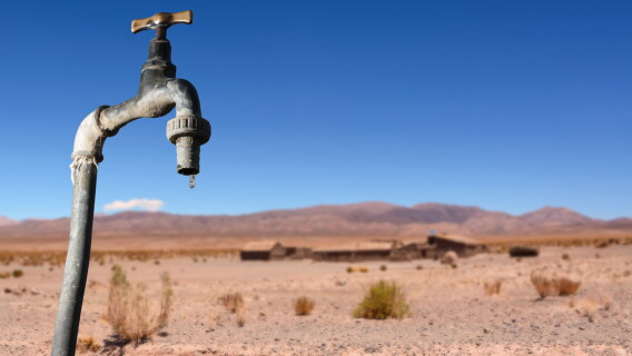 IPOs Slow to a Trickle in 2025 as Investors Grow More Discerning - BioSpace
