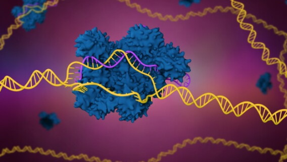 Excision’s CRISPR-Based HIV Treatment Fails to Show Curative Potential ...