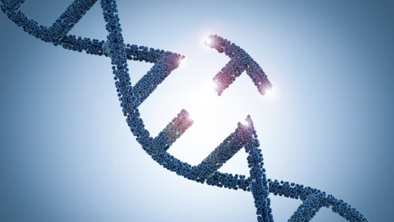 ‘Safer’ CRISPR: Base Editing Breaks Through in the Clinic as Beam ...